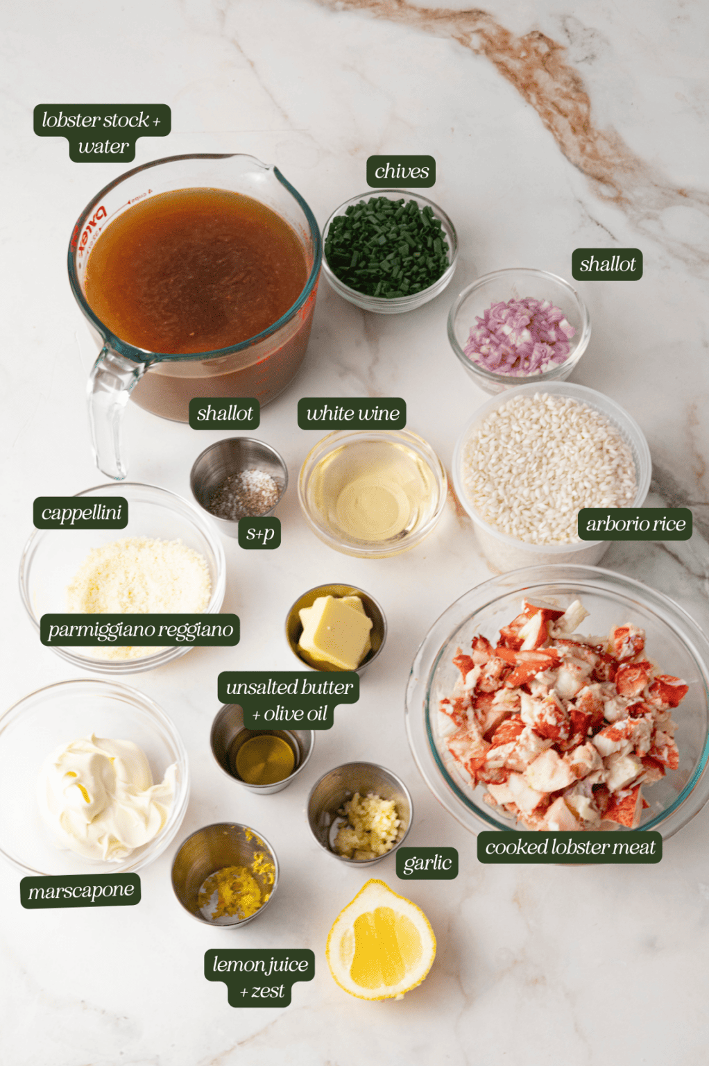 The Best Lobster Risotto Recipe (Easy and Creamy) - Seasoned and Salted