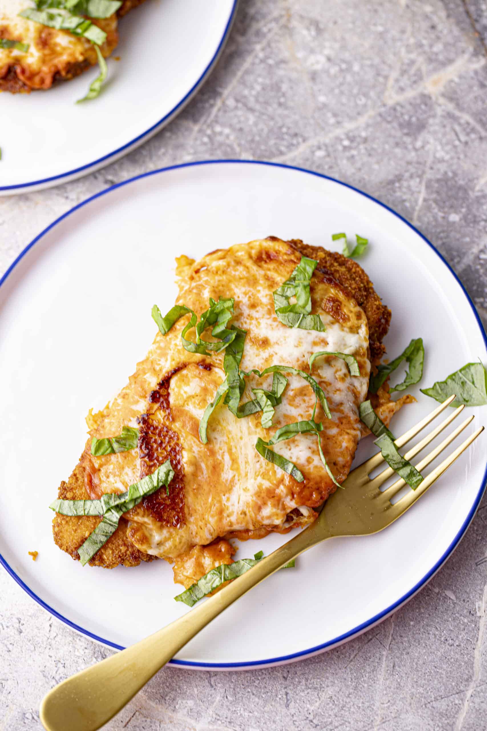 Crispy Chicken Parmesan with Vodka Sauce Recipe - Seasoned and Salted