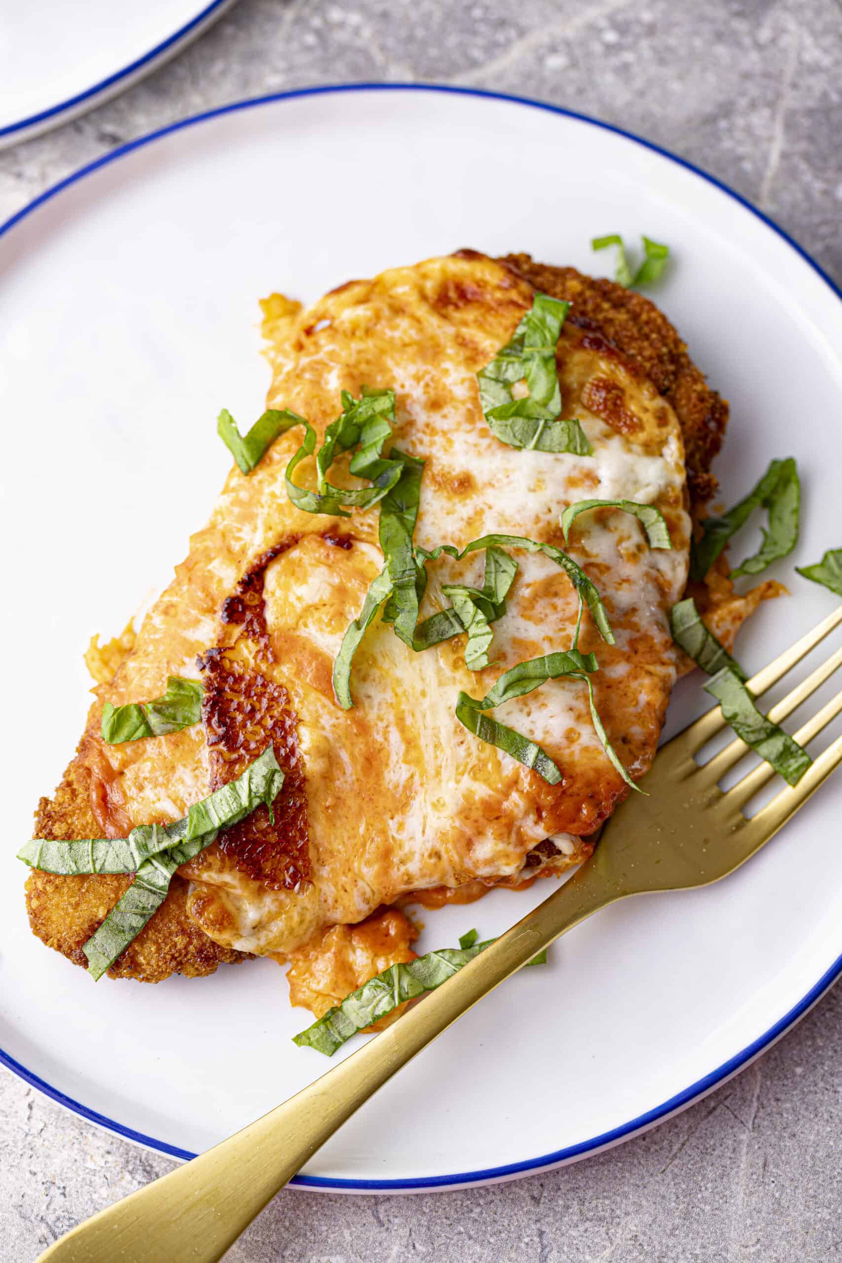 Crispy Chicken Parmesan with Vodka Sauce Recipe - Seasoned and Salted