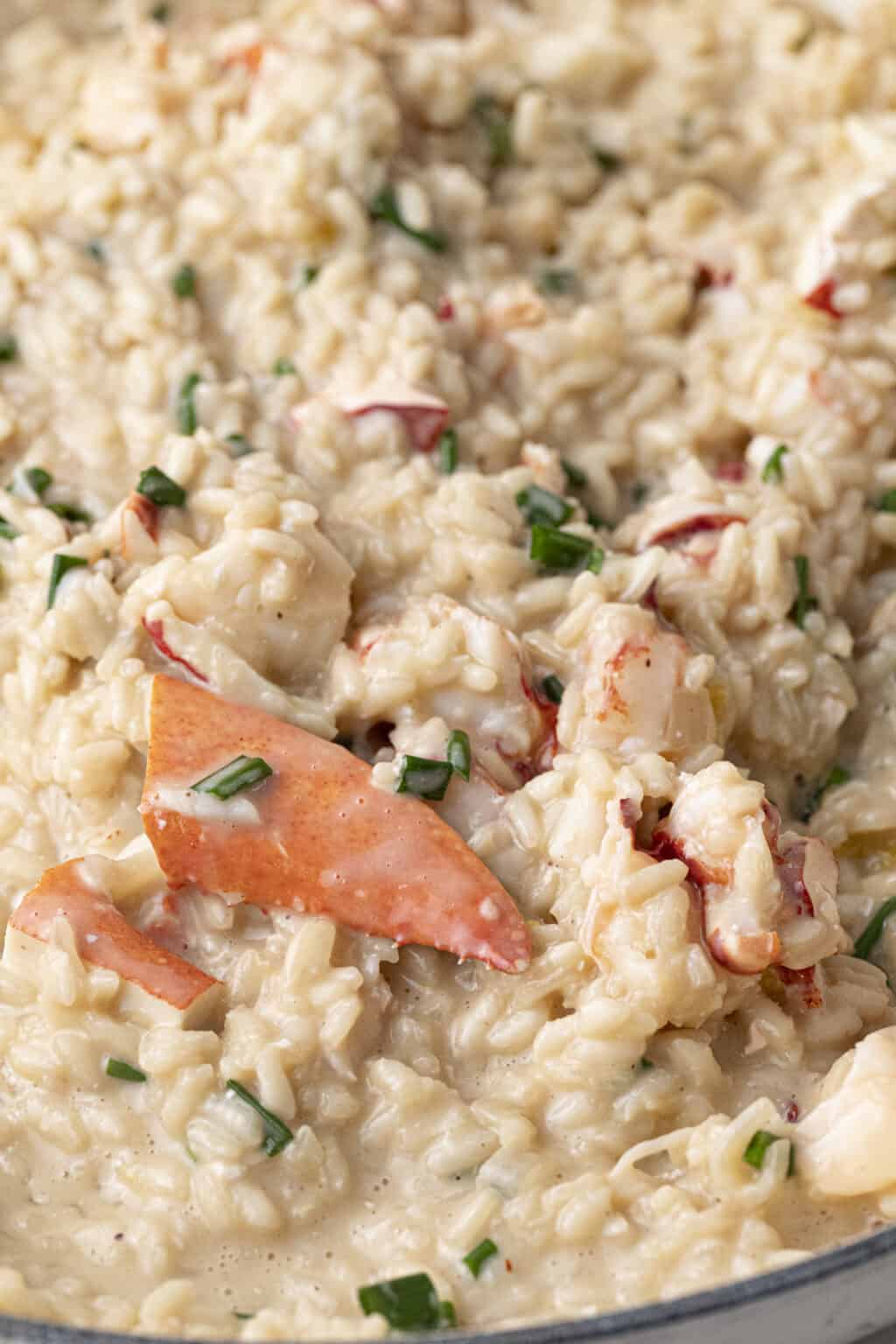 The Best Lobster Risotto Recipe (Easy and Creamy) - Seasoned and Salted
