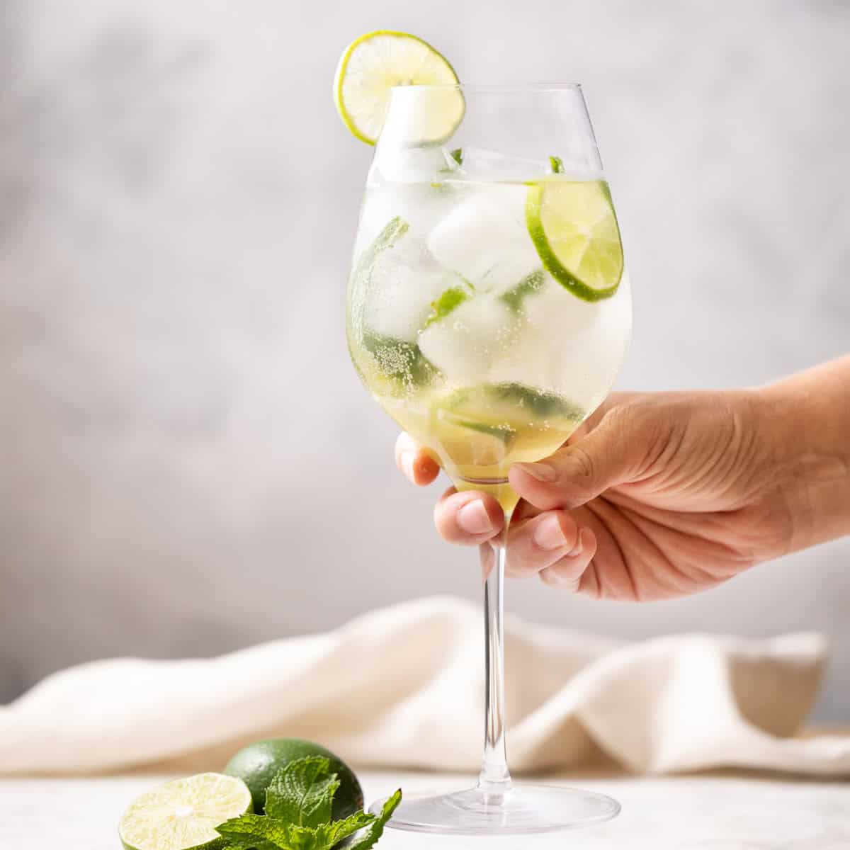 The Best Hugo Spritz Recipe (Elderflower Spritz) - Seasoned and Salted