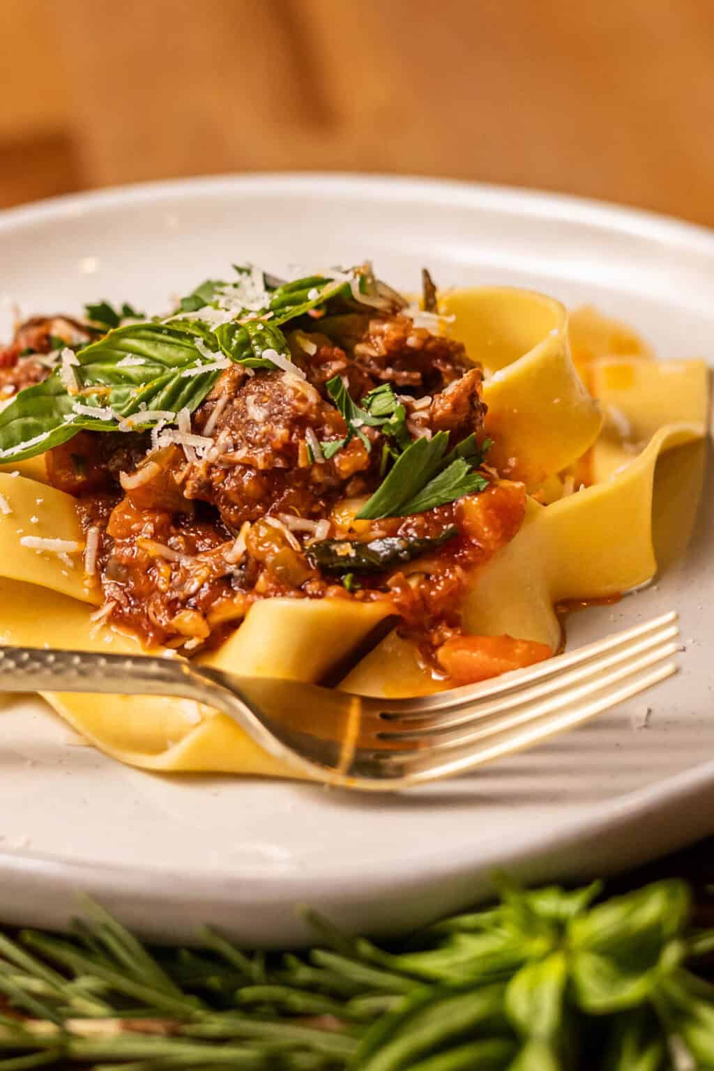 Braised Short Rib Ragu Recipe with Pappardelle Pasta - Seasoned and Salted