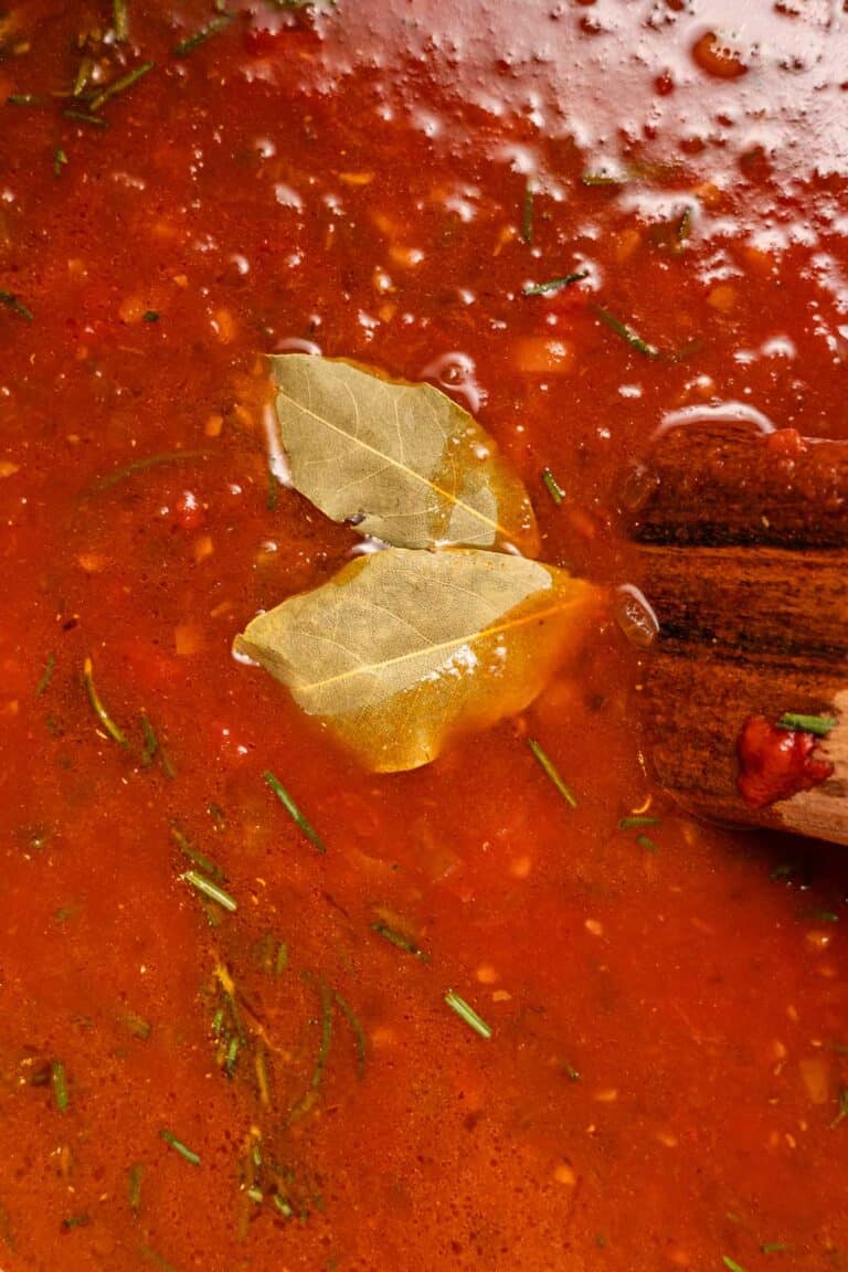 Braised Short Rib Ragu Recipe with Pappardelle Pasta - Seasoned and Salted