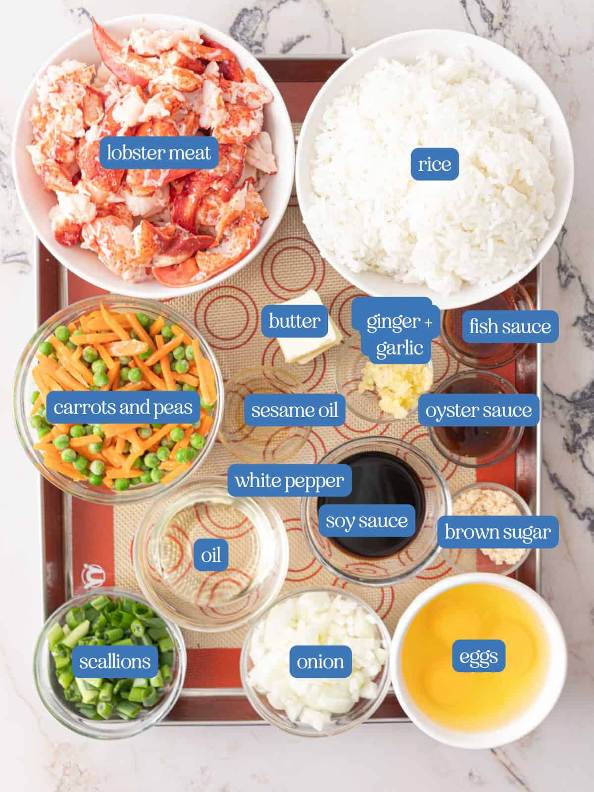 The Best Lobster Fried Rice Recipe (Easy and Delicious) - Seasoned and ...