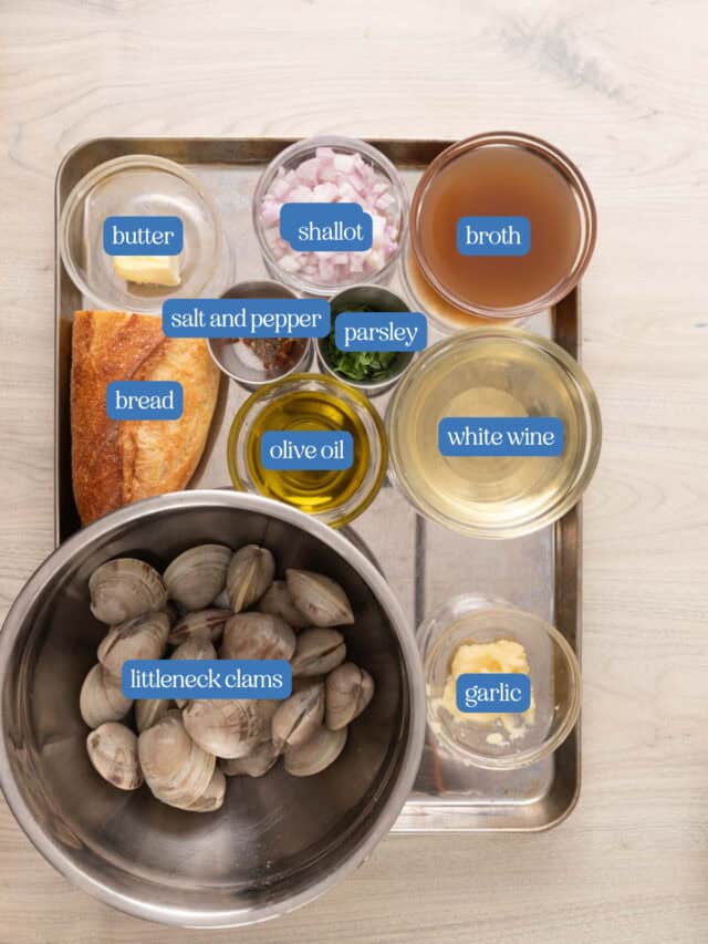 Steamed Littleneck Clams in White Wine and Garlic Recipe - Seasoned and ...